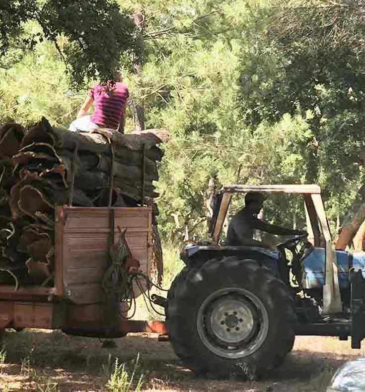 Cork Recycling | The Wine Society