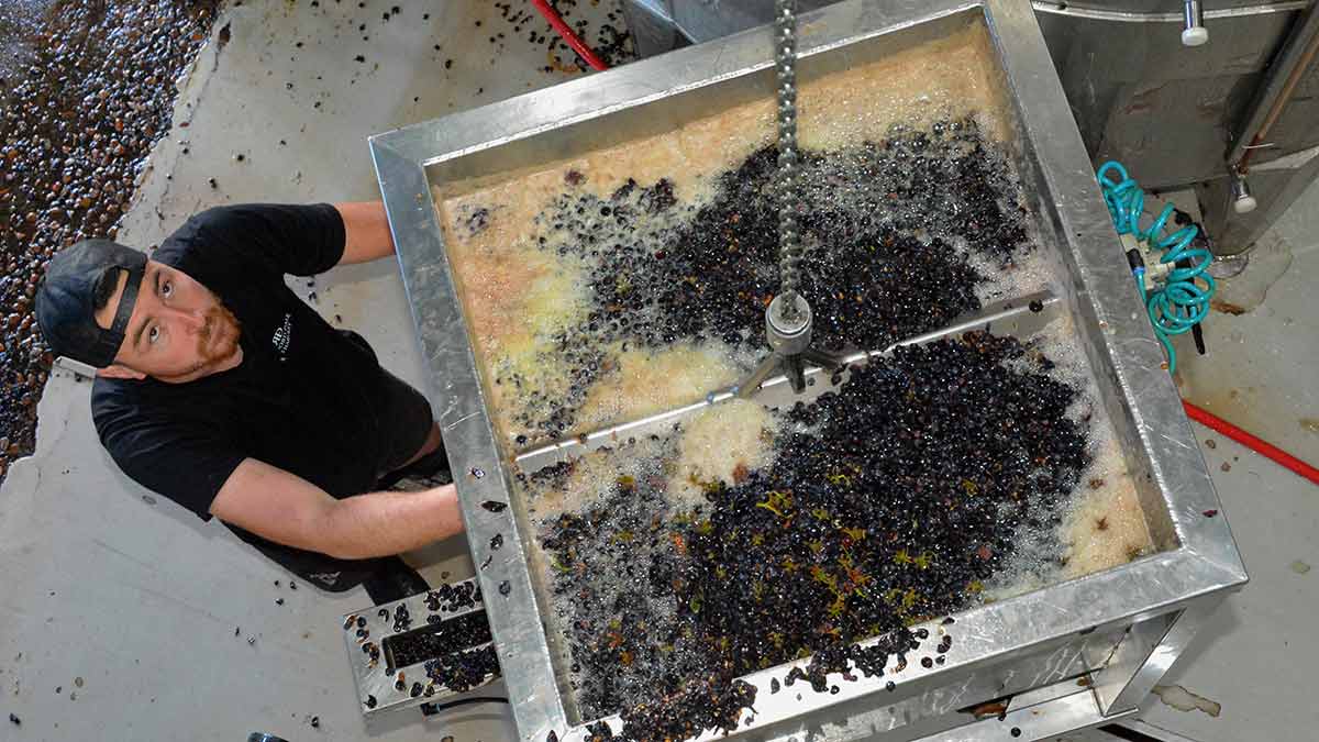 Radford Dale – a pioneering spirit | The Wine Society
