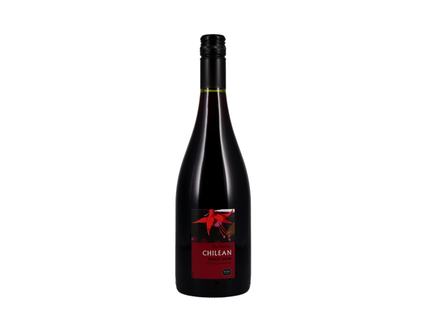 Chilean Wine | Buy Chilean Wines Online | The Wine Society