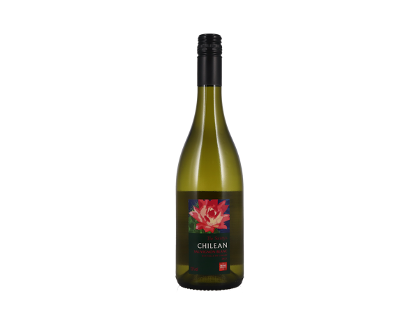 Chilean Wine | Buy Chilean Wines Online | The Wine Society