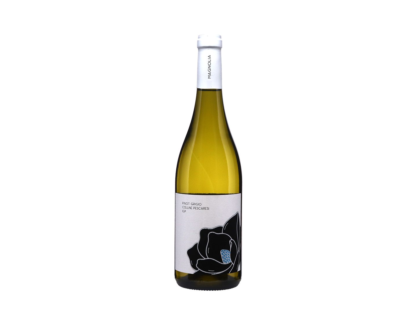 Magnolia Colline Pescaresi, Pinot Grigio 2023