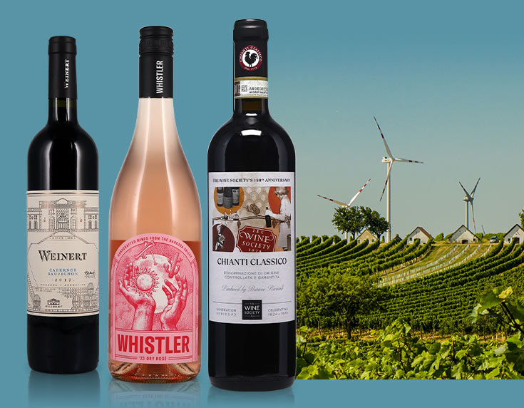 Wine Champions 2024 | The Wine Society