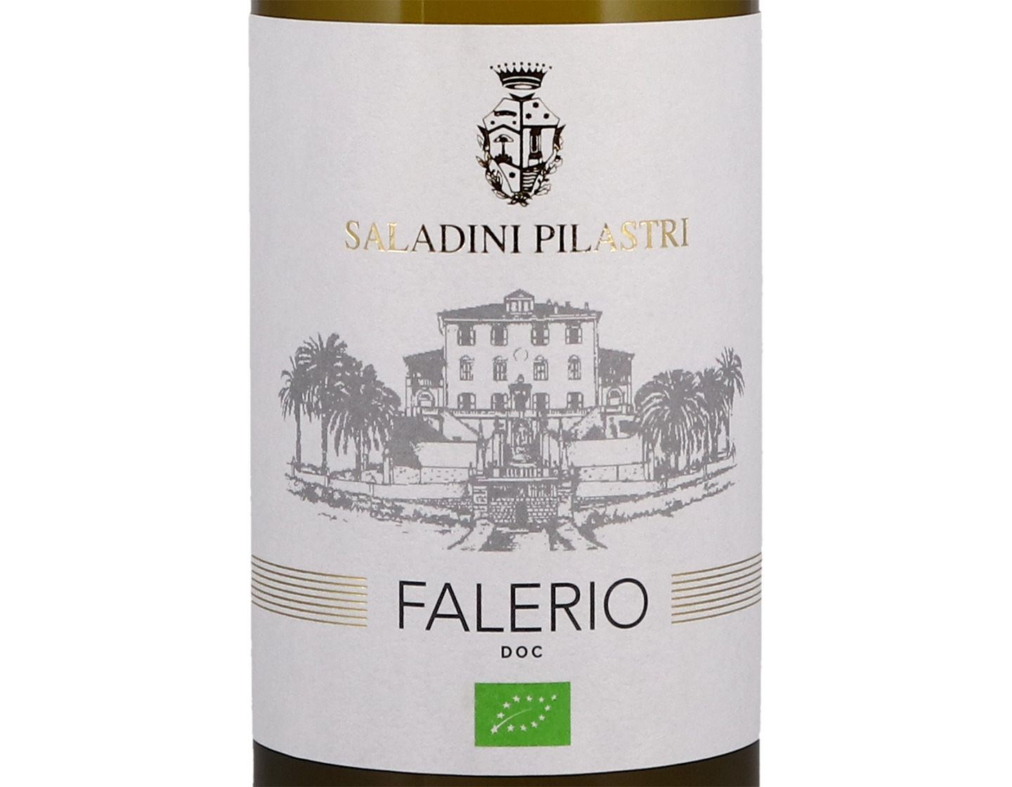Falerio, Saladini Pilastri 2022