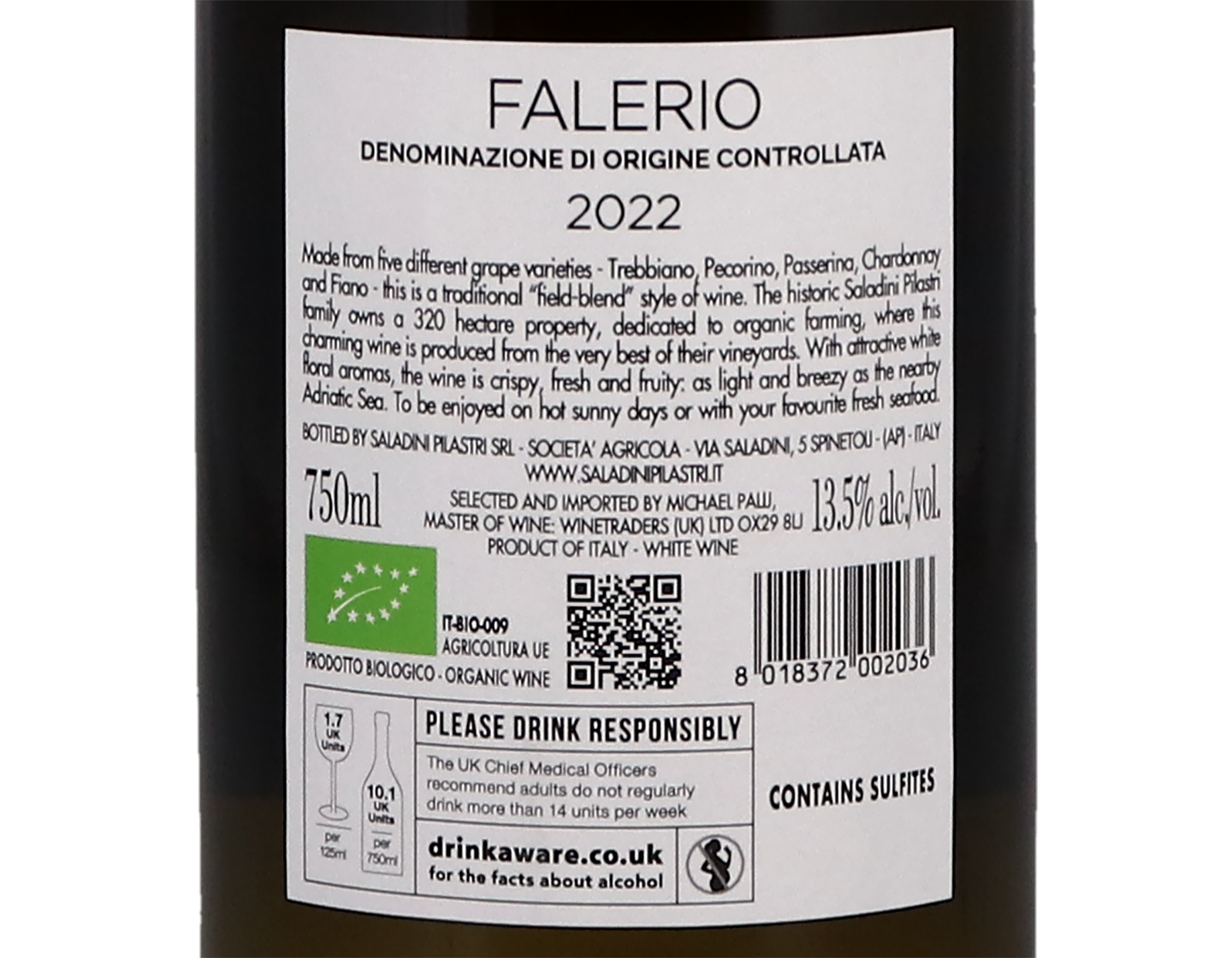 Falerio, Saladini Pilastri 2022