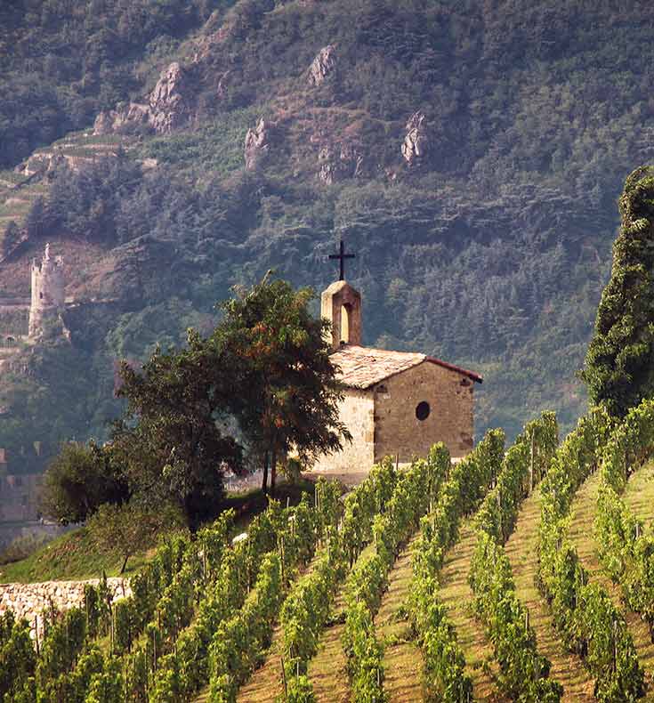 Marcel Orford-Williams’ final love letter to Rhône | The Wine Society