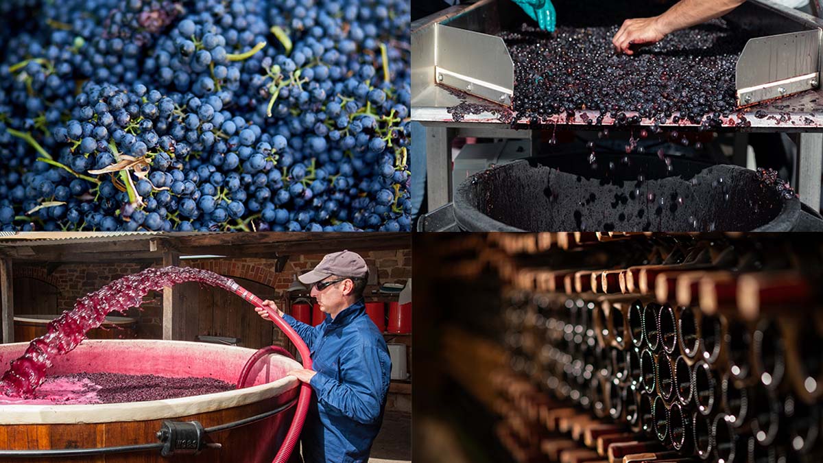 The very latest on bulk shipping | The Wine Society
