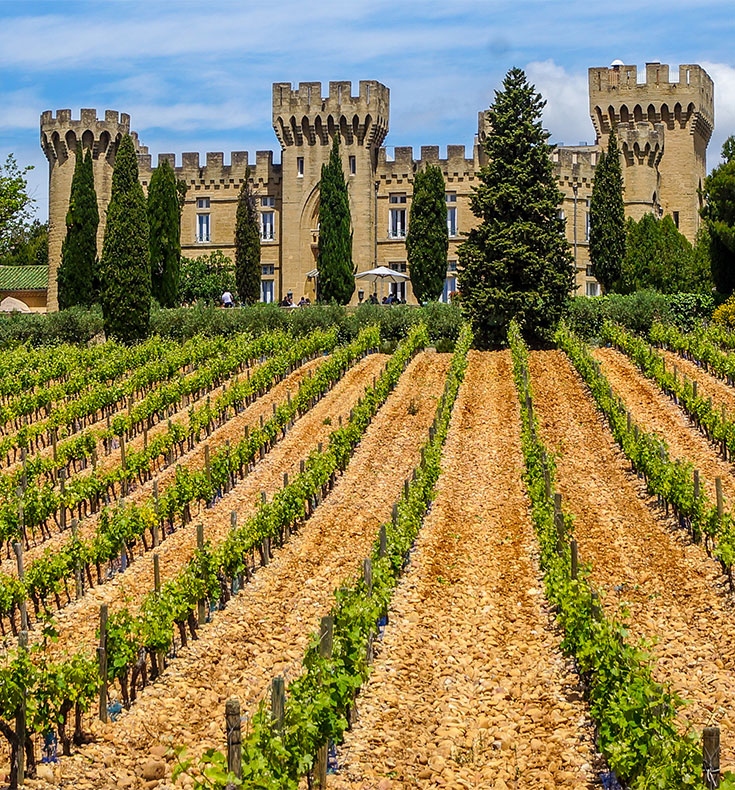 Châteauneuf-Du-Pape: The Papal Legacy | The Wine Society
