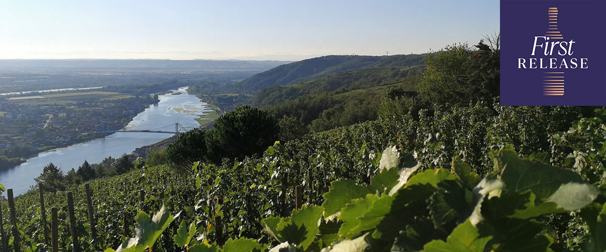 White Rhône 2024