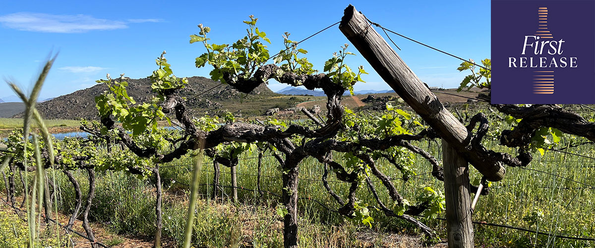 Tierhoek Collaboration 2023
