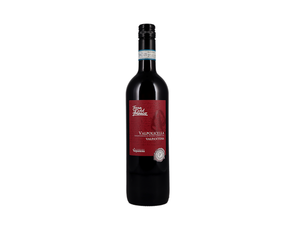 Valpolicella Valpantena Torre del Falasco 2022