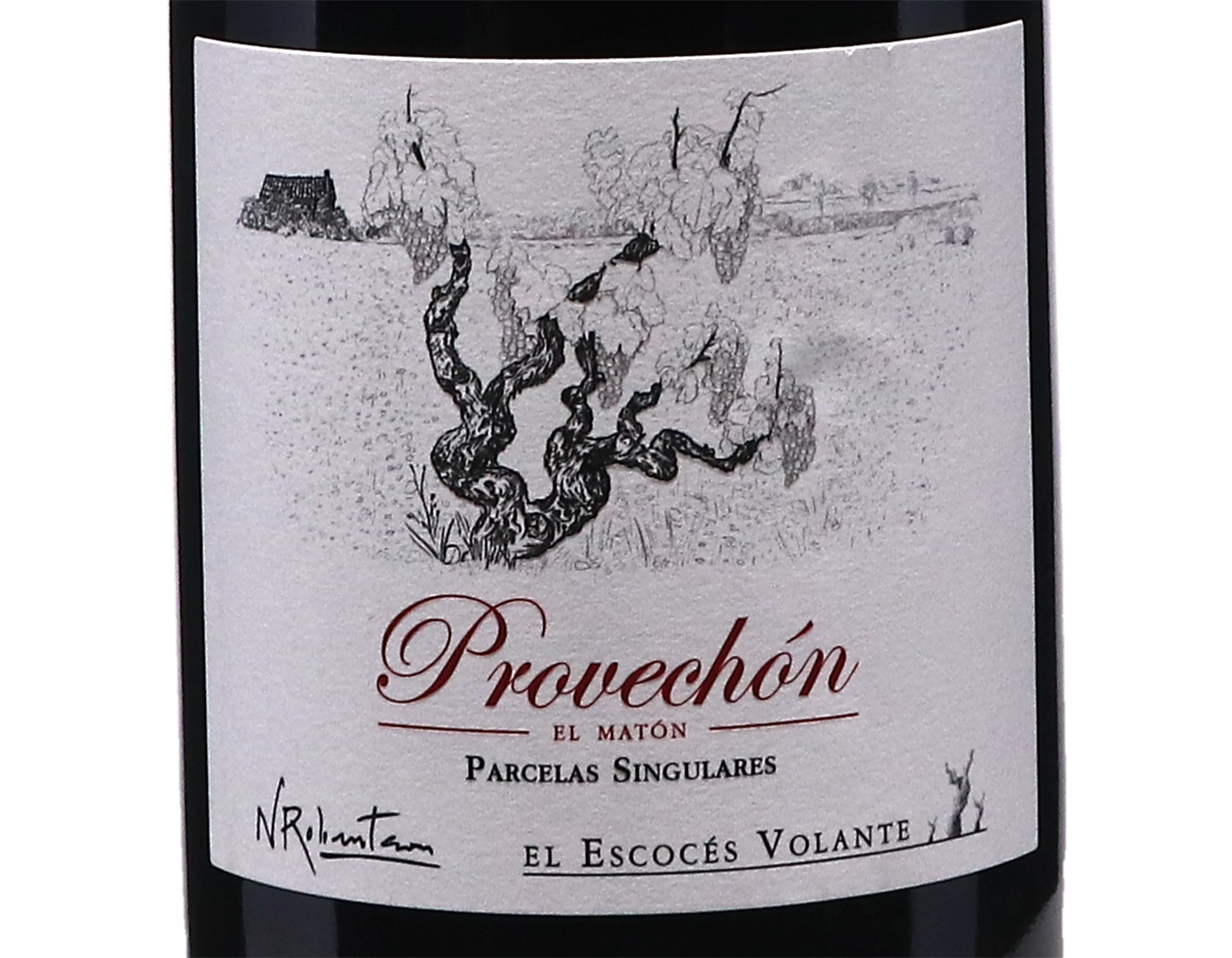 Provechón Parcela El Matón, Calatayud 2021