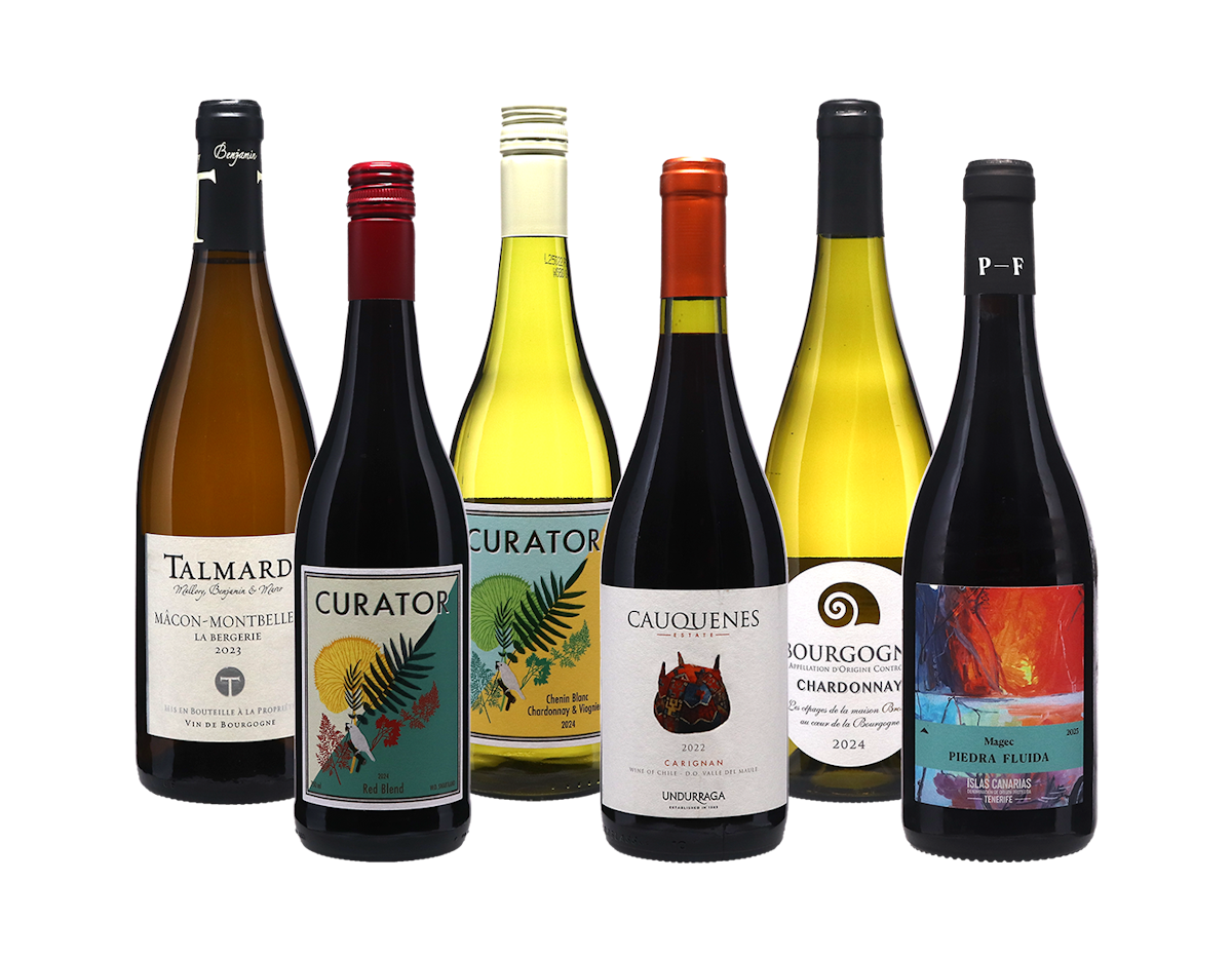 Jancis Robinson Value Picks Mixed Case
