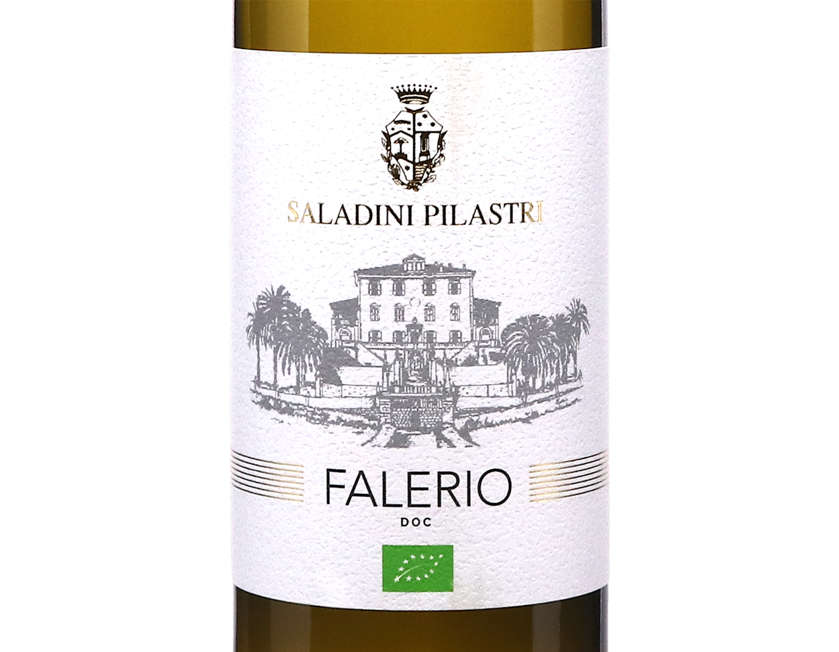 Falerio, Saladini Pilastri 2024