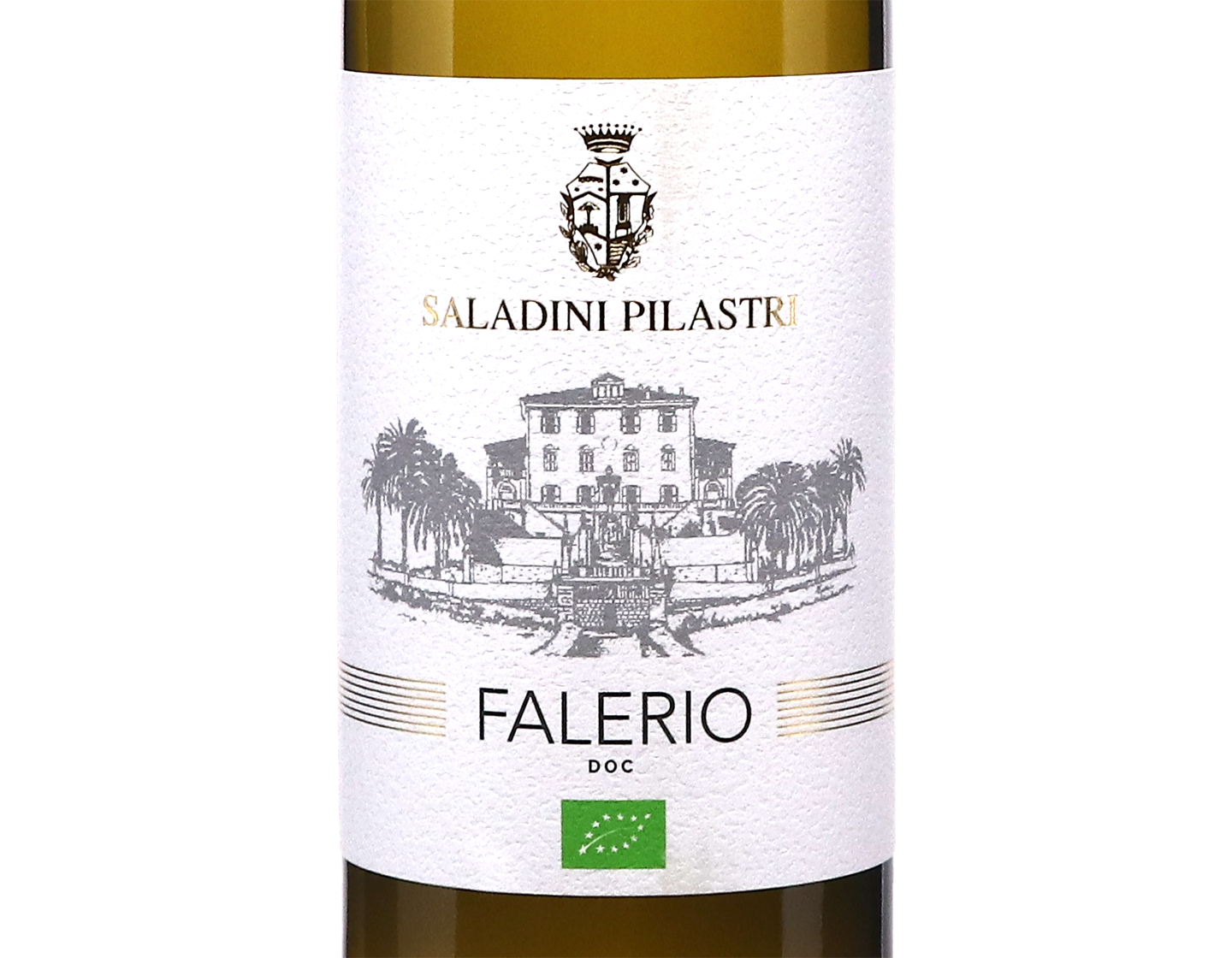 Falerio, Saladini Pilastri 2024