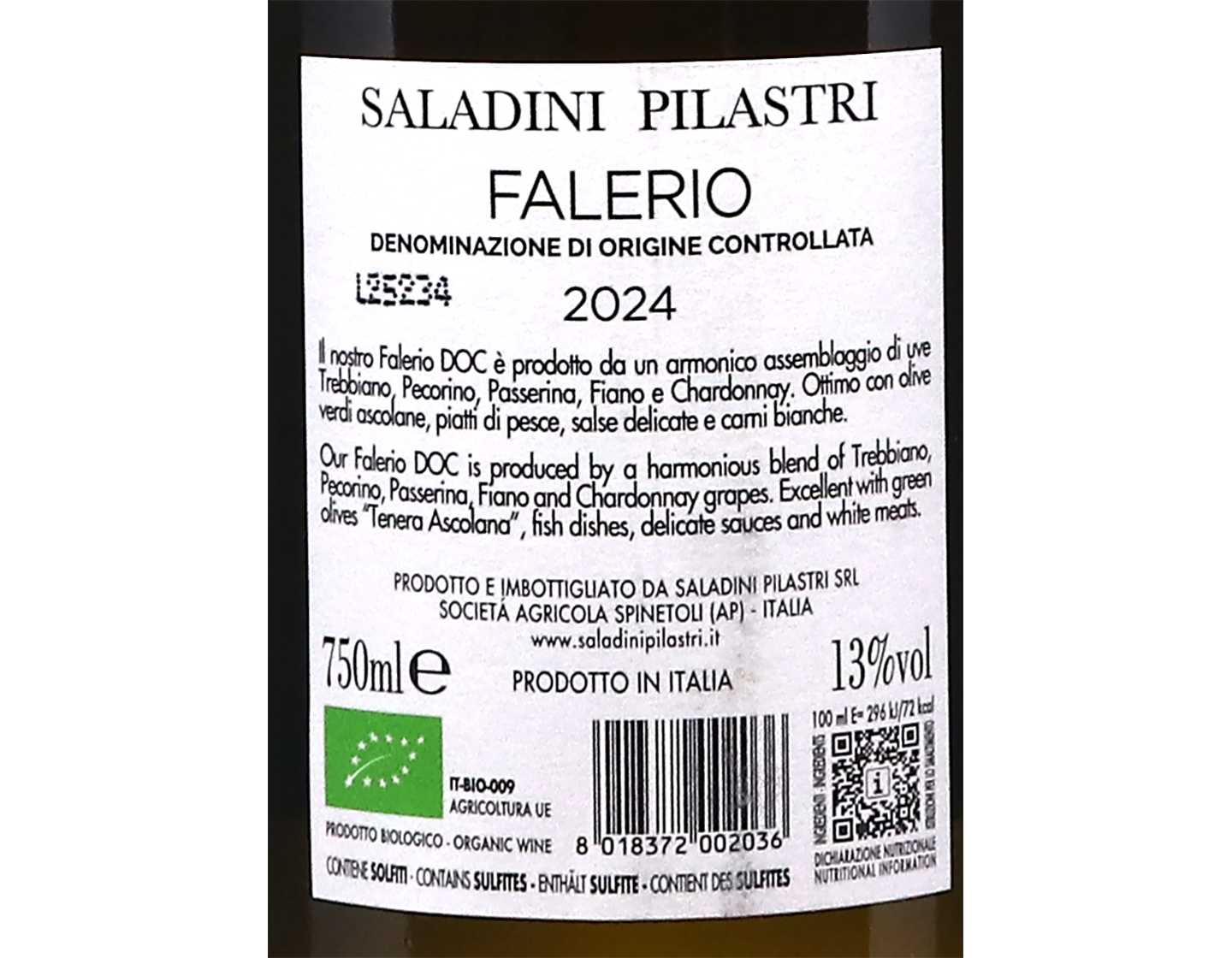 Falerio, Saladini Pilastri 2024