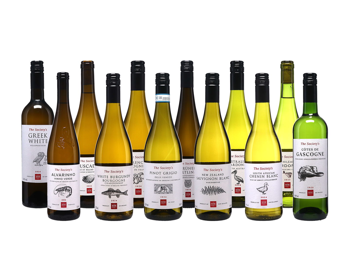 Guide To Dry White Wines | The Wine Society